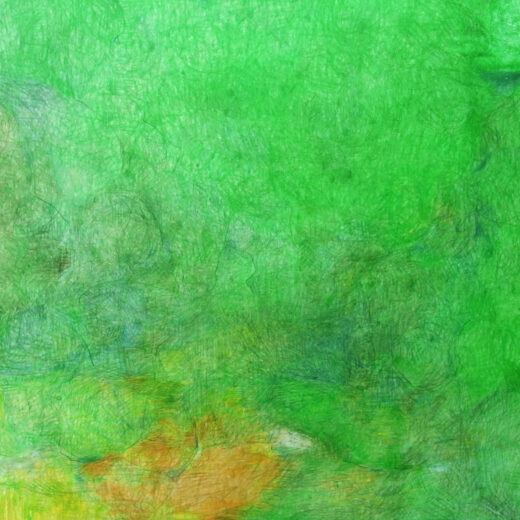 garden in June（2015.350×500） | Tamaco Nakanishi Official Site