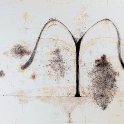 Plant Plan 2008年 555×789㎜ 色鉛筆、紙 | 中西圭子 tamaco nakanishi｜オフィシャルサイト