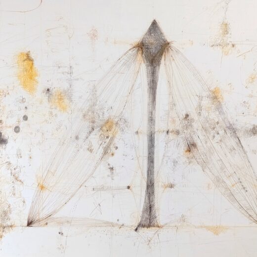 Plant Plan 2008年 555×789㎜ 色鉛筆、紙 | 中西圭子 tamaco nakanishi｜オフィシャルサイト