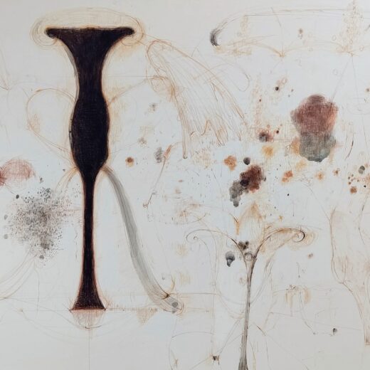 Plant Plan 2004年 555×789mm 色鉛筆、紙 | 中西圭子 tamaco nakanishi｜オフィシャルサイト