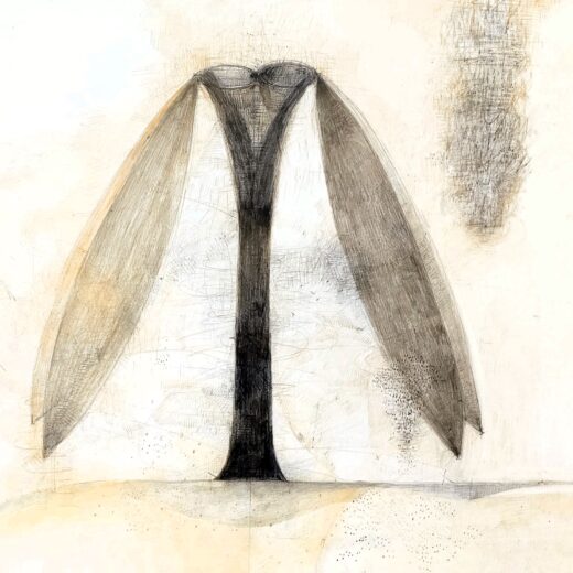 Plant Plan 2007年 555×789㎜ 色鉛筆、紙 | 中西圭子 tamaco nakanishi｜オフィシャルサイト